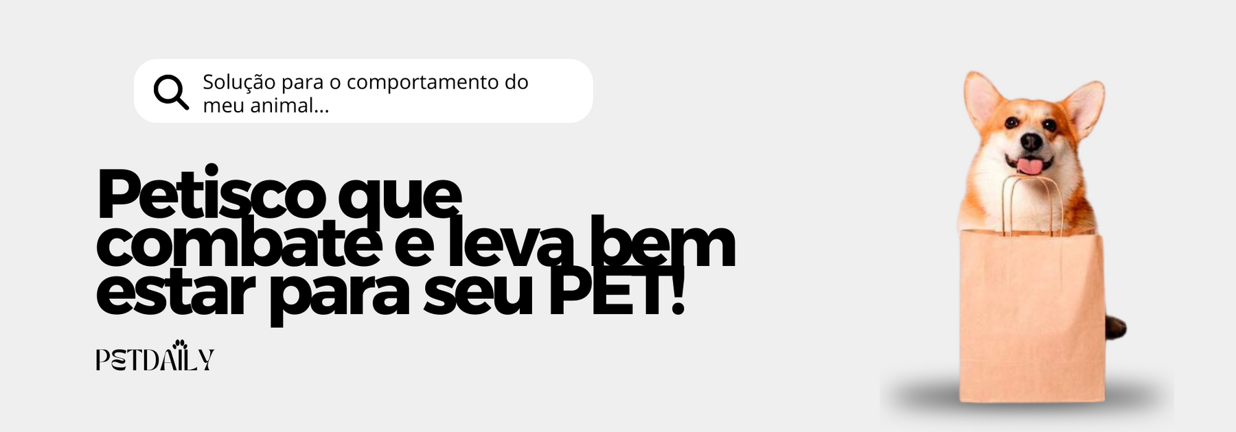 Petdaily